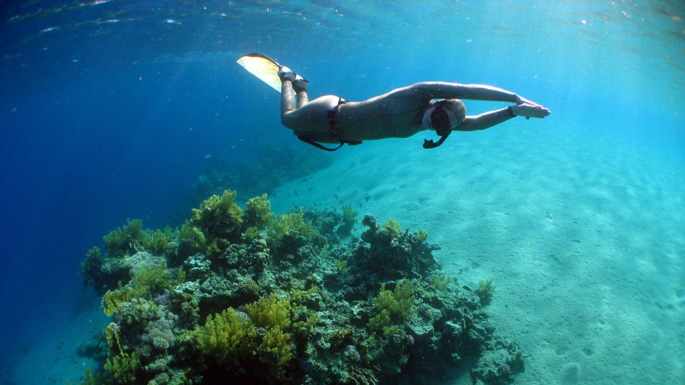 One Small Step Towards Realising Our Dreams - An interview with a ...